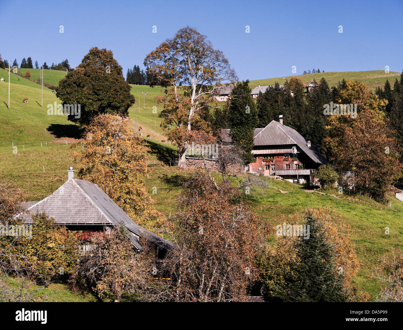 Farmhouse, farm, Blappach, Chäserenegg, Eggiwil, Emmental, house, home ...