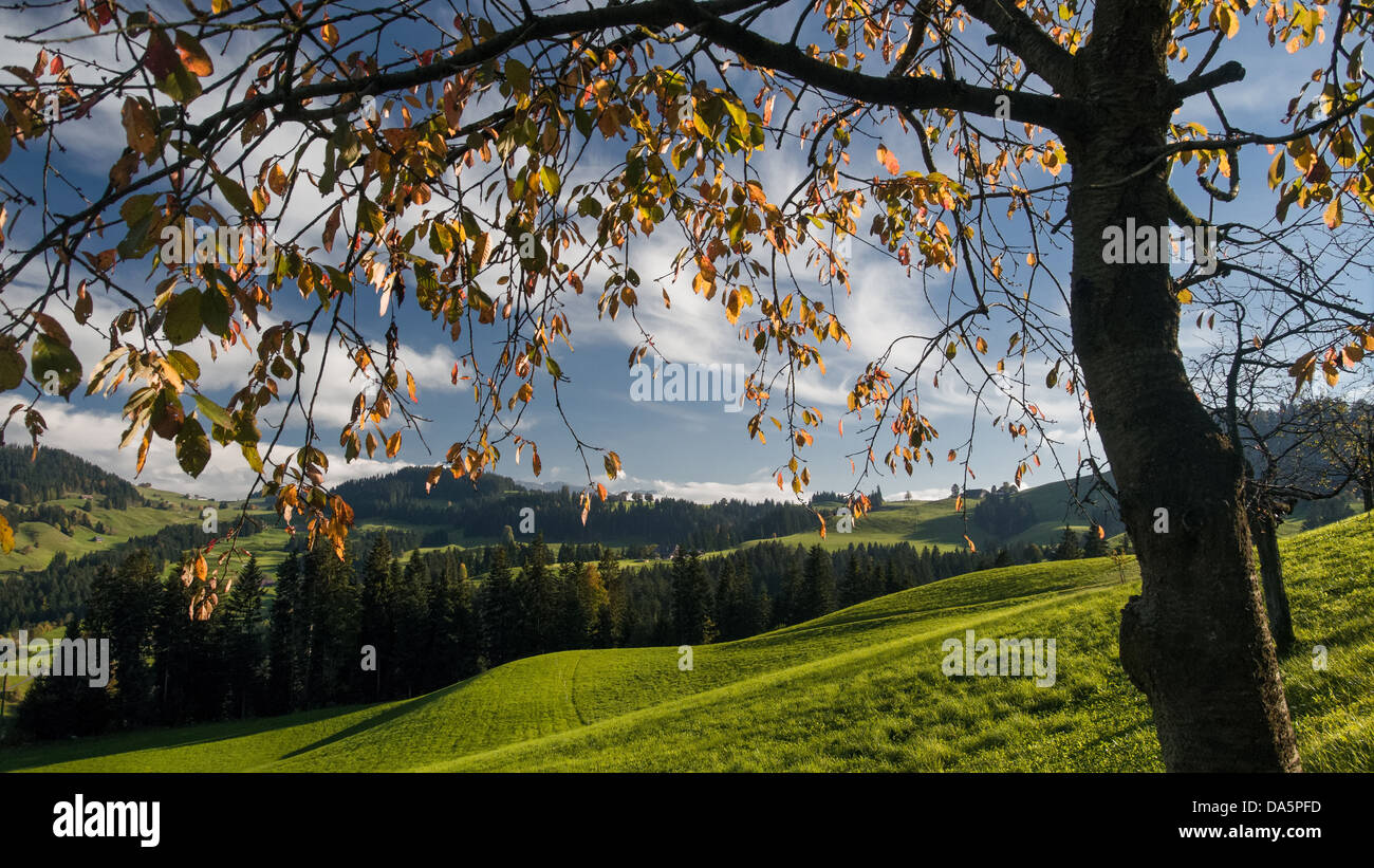 Blappach, Emmental, autumn, autumn foliage, sky, canton Bern, Bern ...