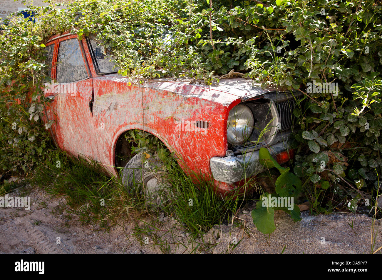 Overgrown Car High Resolution Stock Photography and Images - Alamy