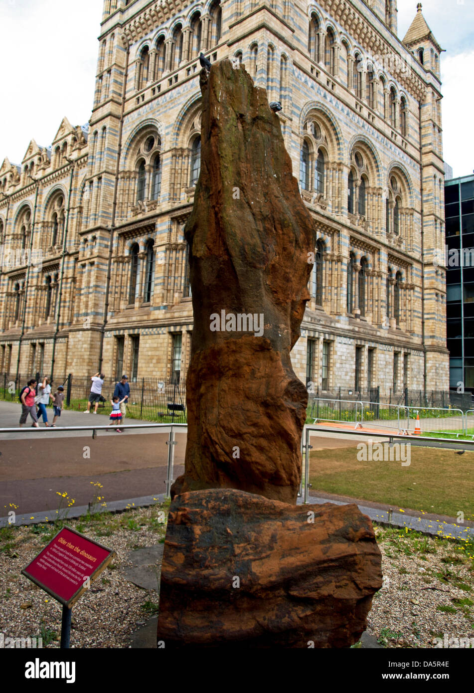 'Older than the Dinosaurs' fossilised tree trunk in the grounds of the ...