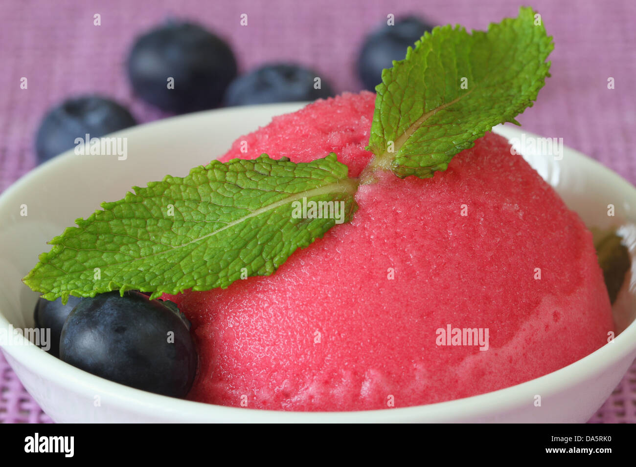 Forest fruit sorbet with fresh blueberries, close up Stock Photo - Alamy