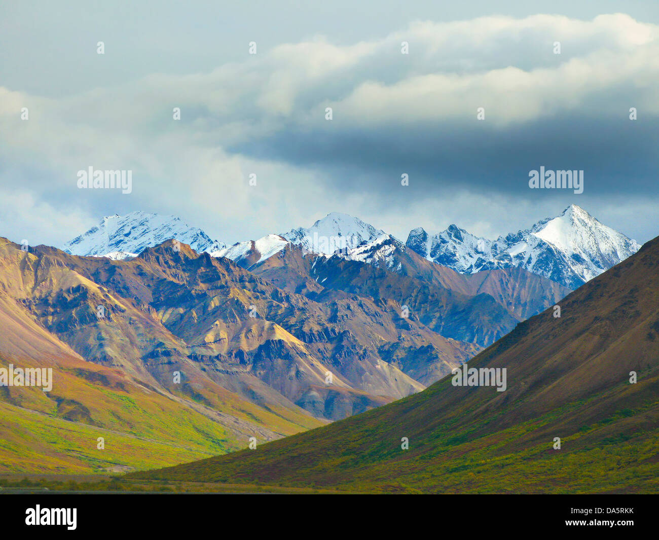 USA, United States, America, Alaska, Denali, National Park, nature ...
