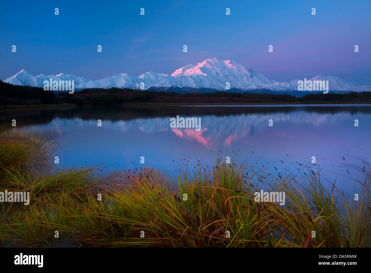 USA, United States, America, Alaska, Denali, National Park, Mount ...