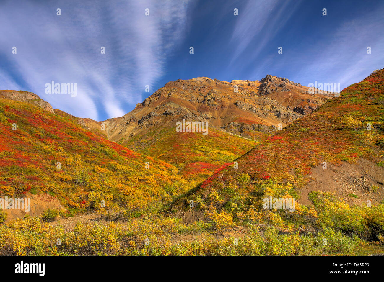 USA, United States, America, Alaska, Denali, National Park, nature ...