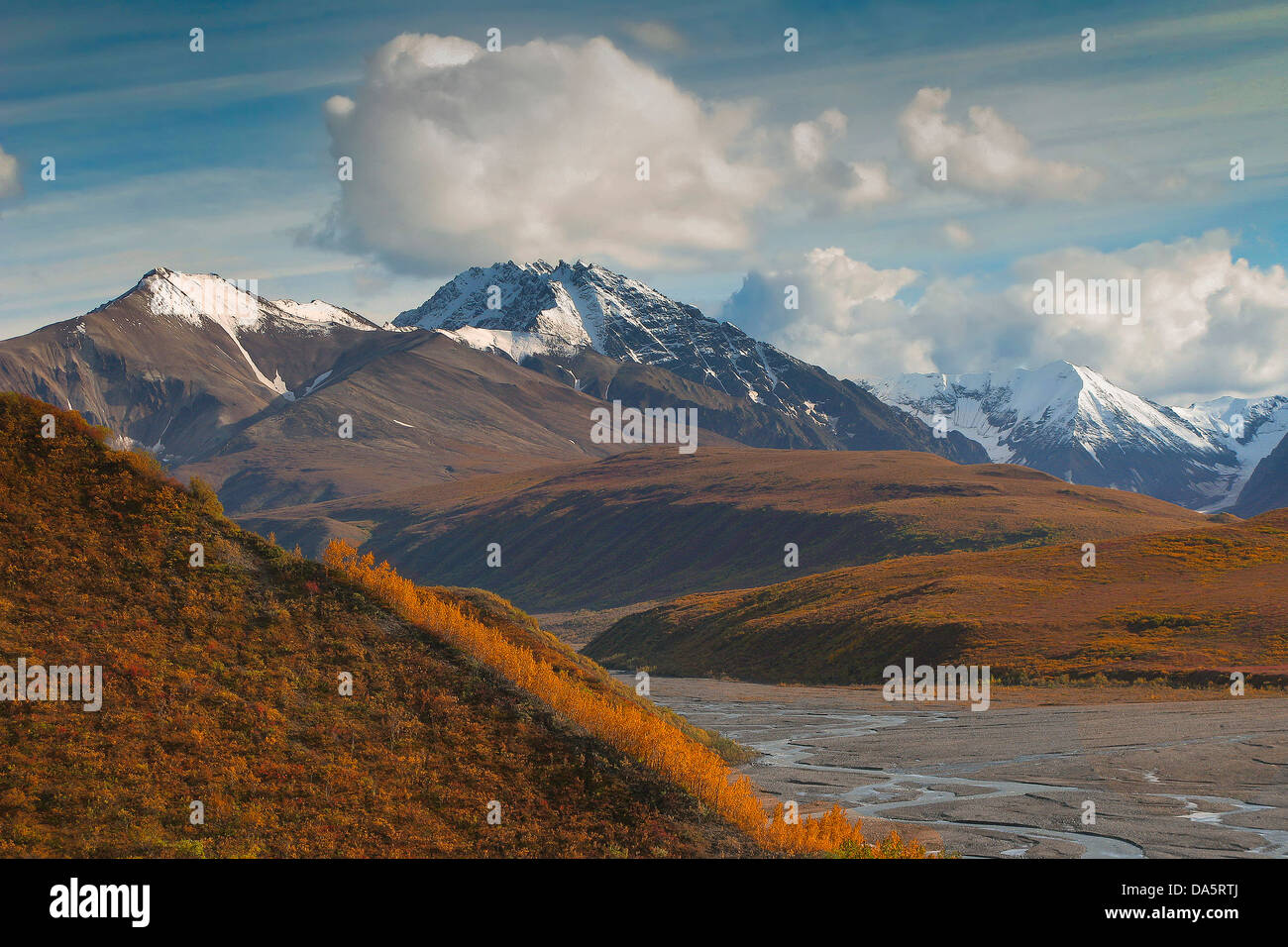 USA, United States, America, Alaska, Denali, National Park, Mount ...
