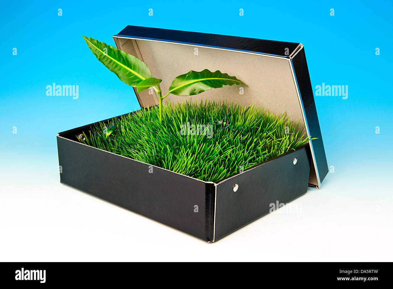Sprout box hi-res stock photography and images - Alamy