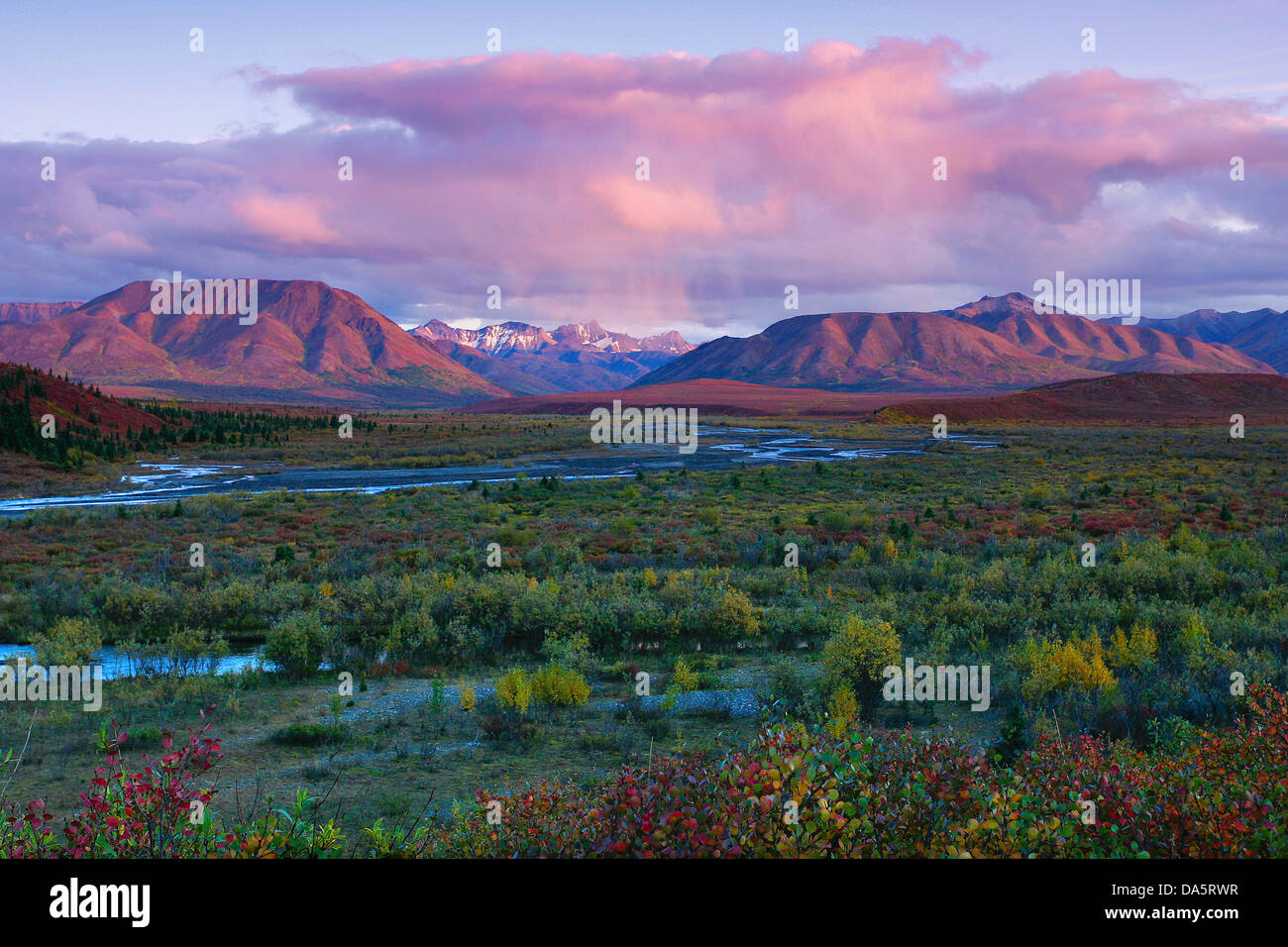 USA, United States, America, Alaska, Denali, National Park, nature ...