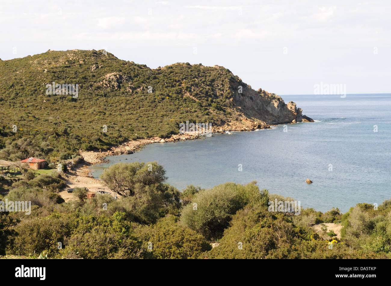 Algerian High Resolution Stock Photography and Images - Alamy