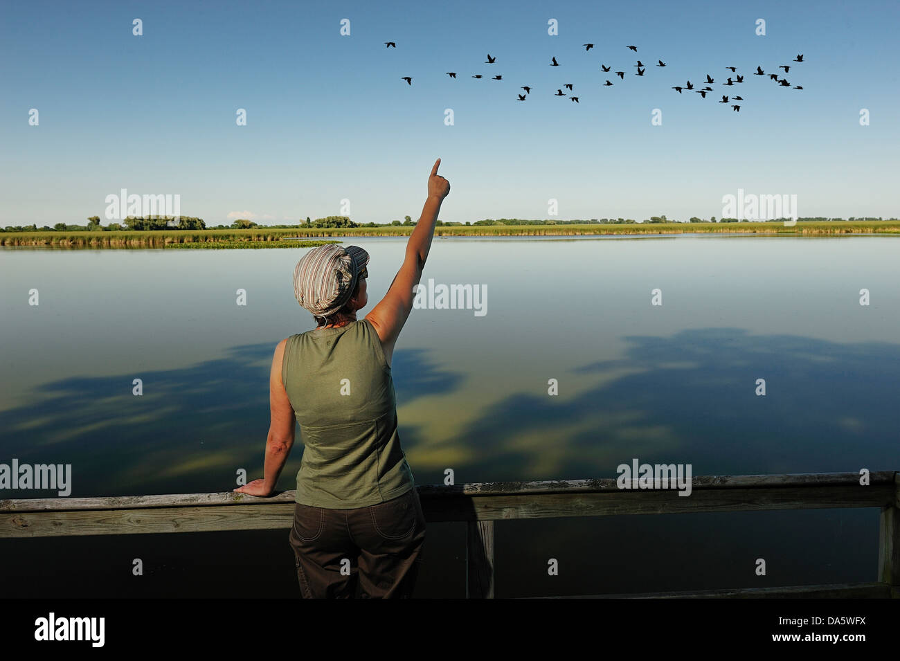 Canada, Leamington, Ontario, Point Pelee, National Park, Travel, birds ...