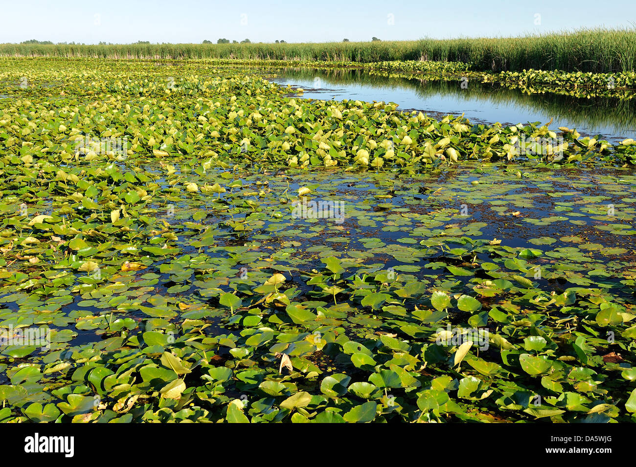 Canada, Leamington, Ontario, Point Pelee, National Park, Travel, day ...