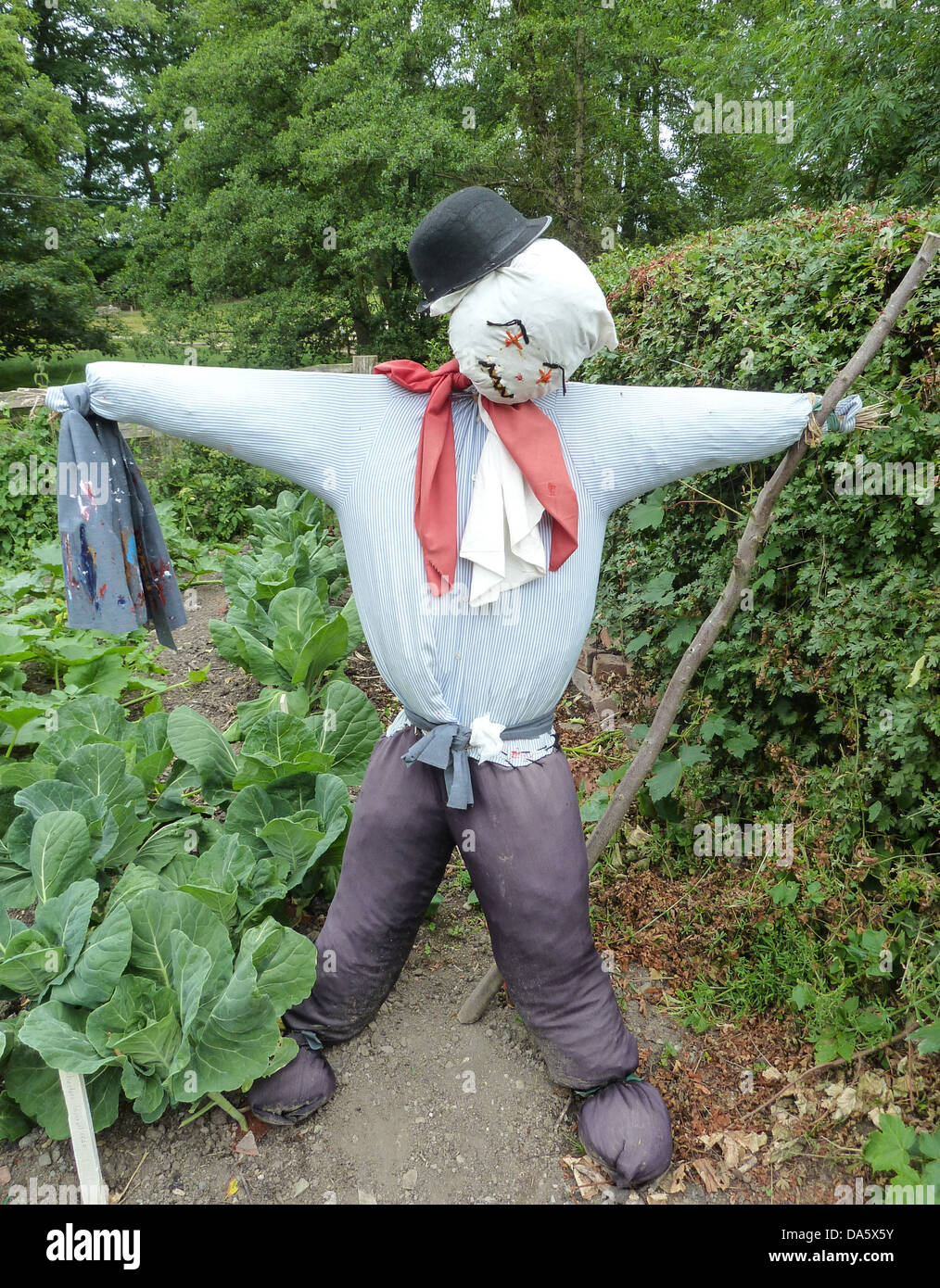 Scarecrow in a vegetable patch Acton Scott Farm Shropshire England ...