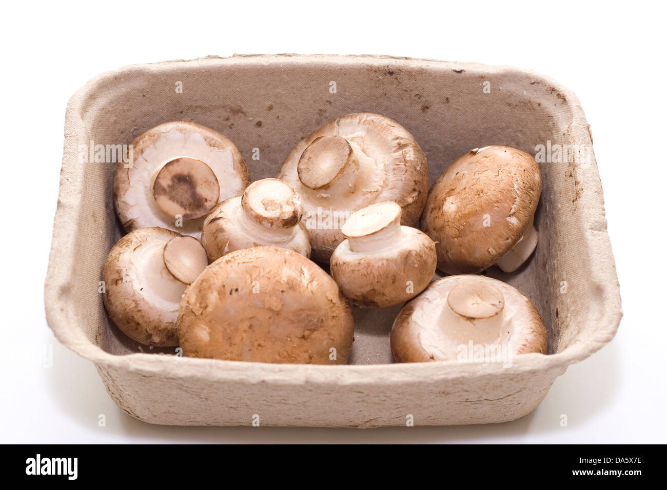 Box mushrooms hi-res stock photography and images - Alamy