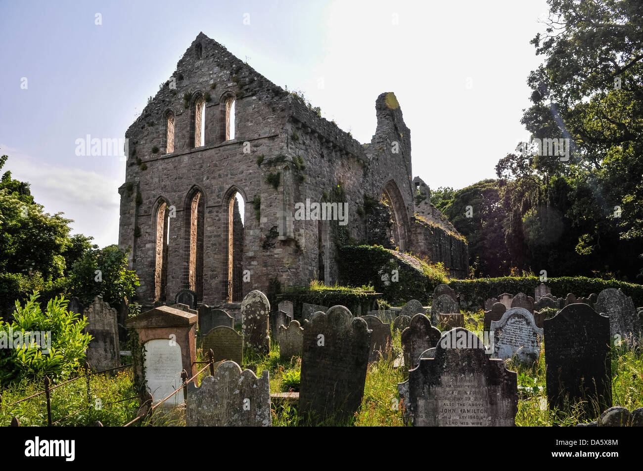 Ruins of Greyabbey Cistercian abbey-monastery Stock Photo - Alamy