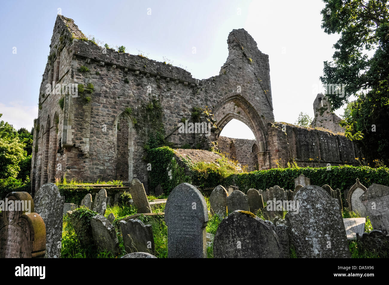 Ruins of Greyabbey Cistercian abbey-monastery Stock Photo - Alamy