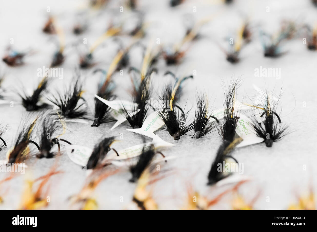 Attract flies hi-res stock photography and images - Alamy