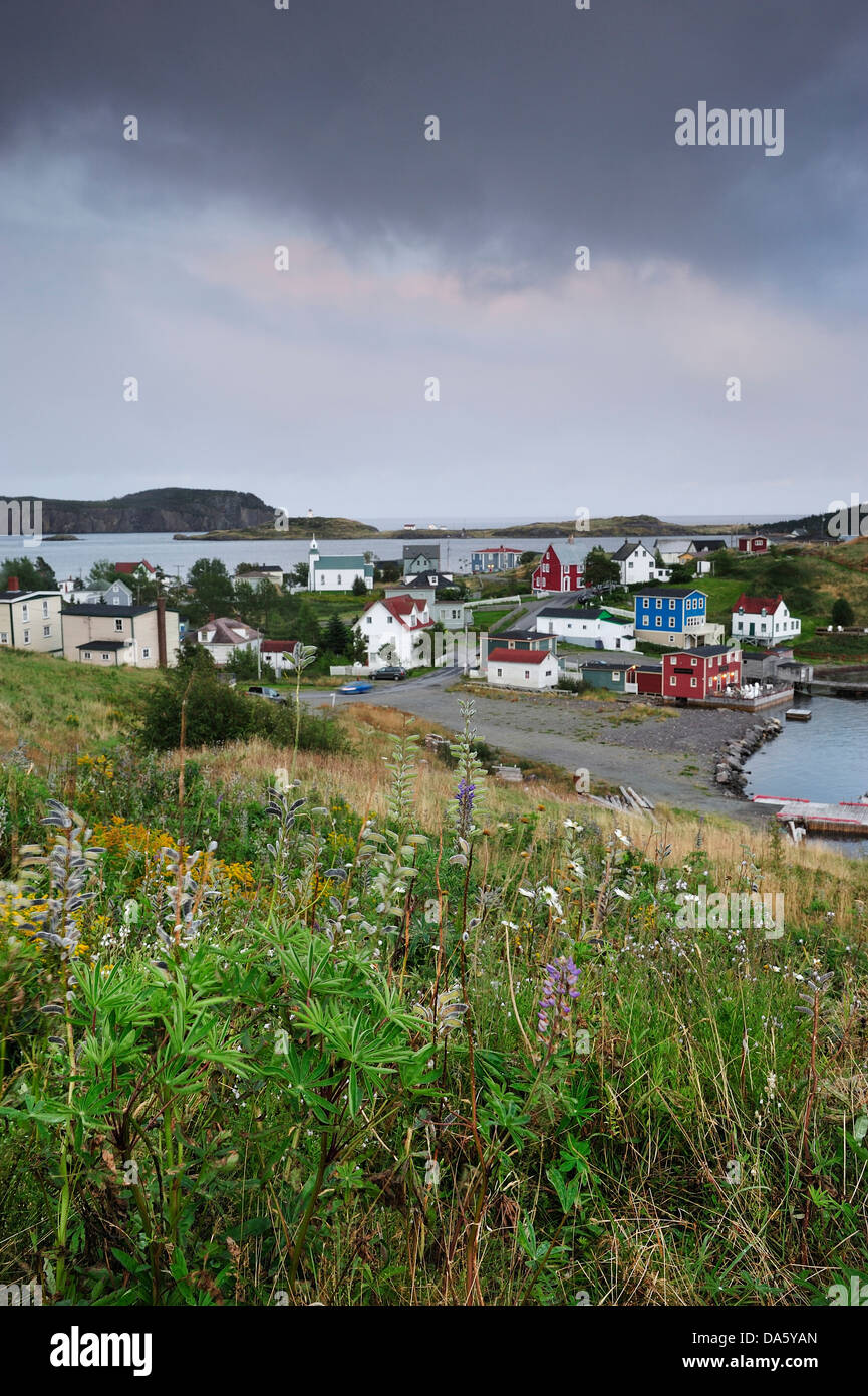 Trinity, Newfoundland, Canada, village, grass, coast Stock Photo - Alamy