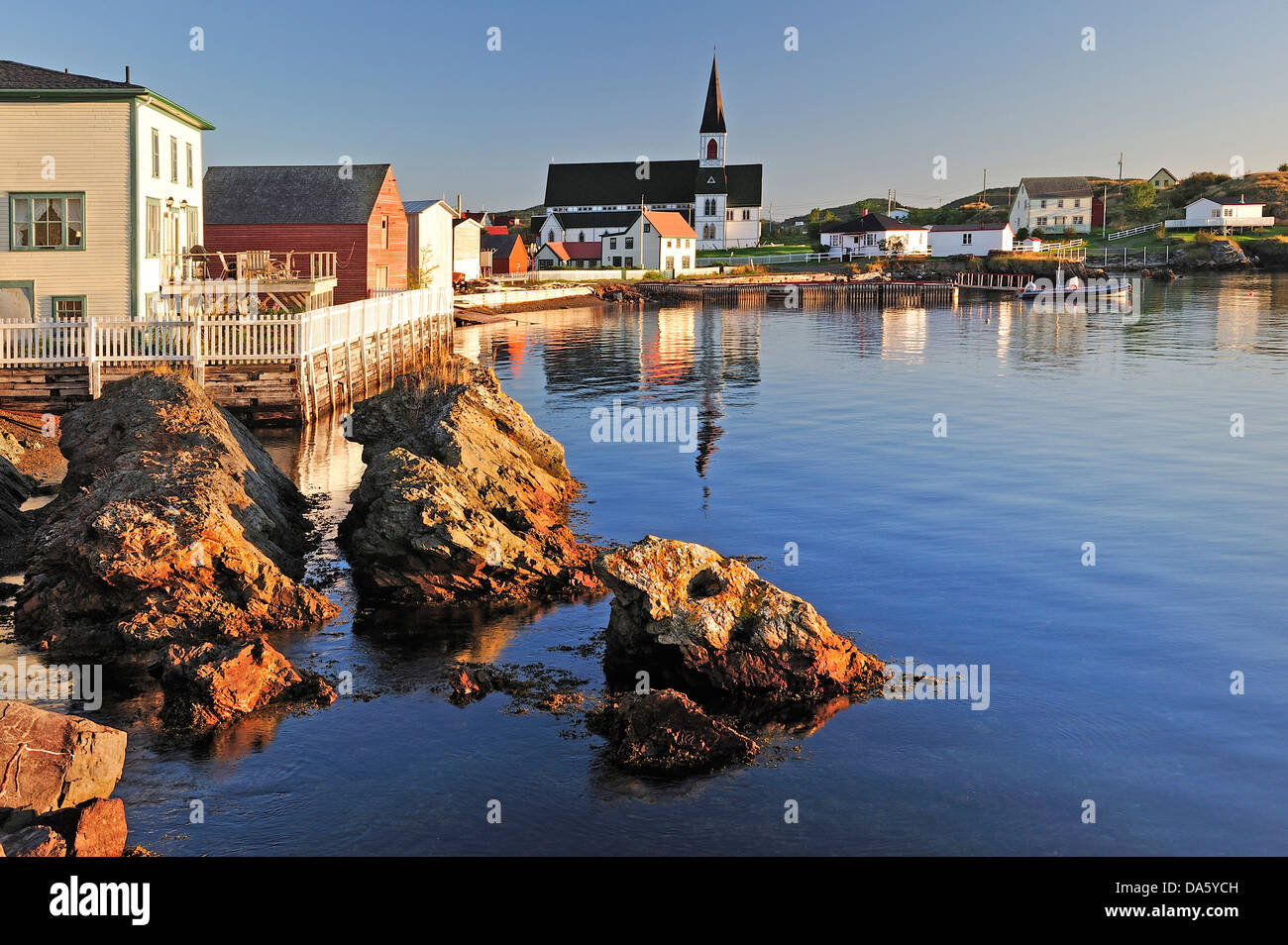 Newfoundland hi-res stock photography and images - Alamy