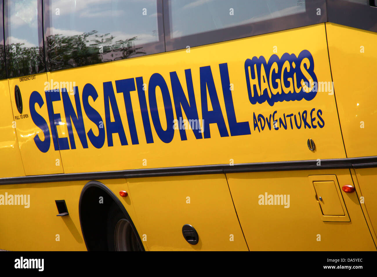 Sensational Haggis adventures yellow tour bus Stock Photo - Alamy