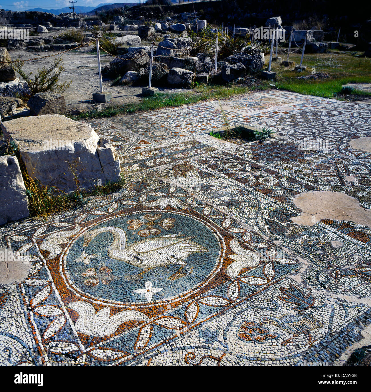 Soli High Resolution Stock Photography and Images - Alamy