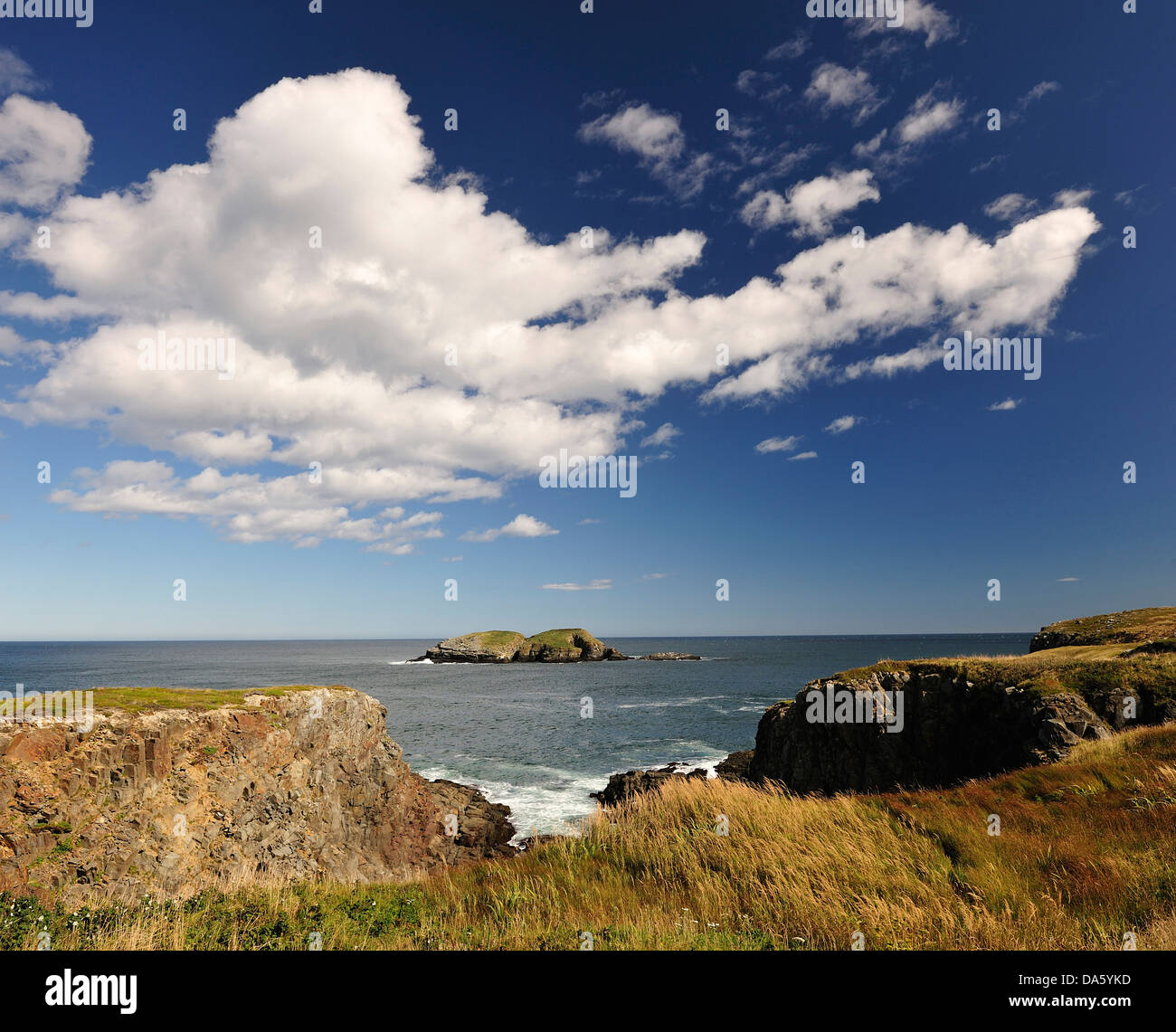 Coastline, Elliston, Newfoundland, Canada, coast, sea, landscape Stock ...