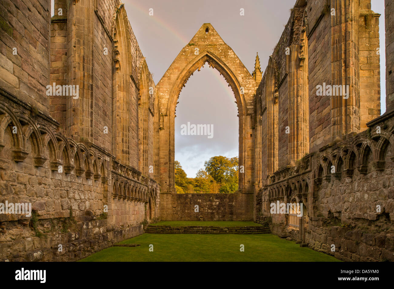 View of sunlit, ancient, picturesque monastic ruins of Bolton Abbey ...