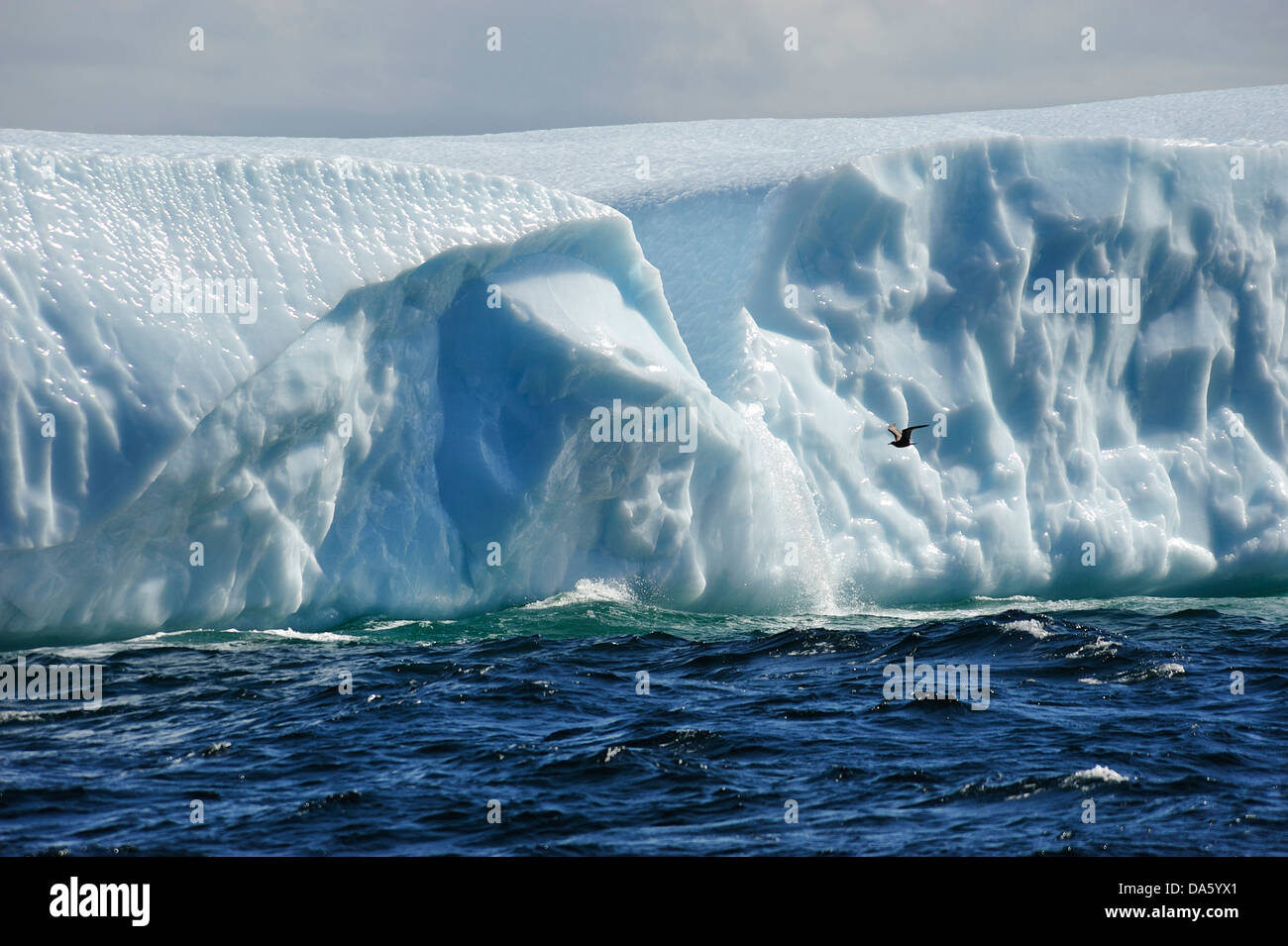 Icebergs, iceberg, floating, Crow Head, Twillingate, Newfoundland ...