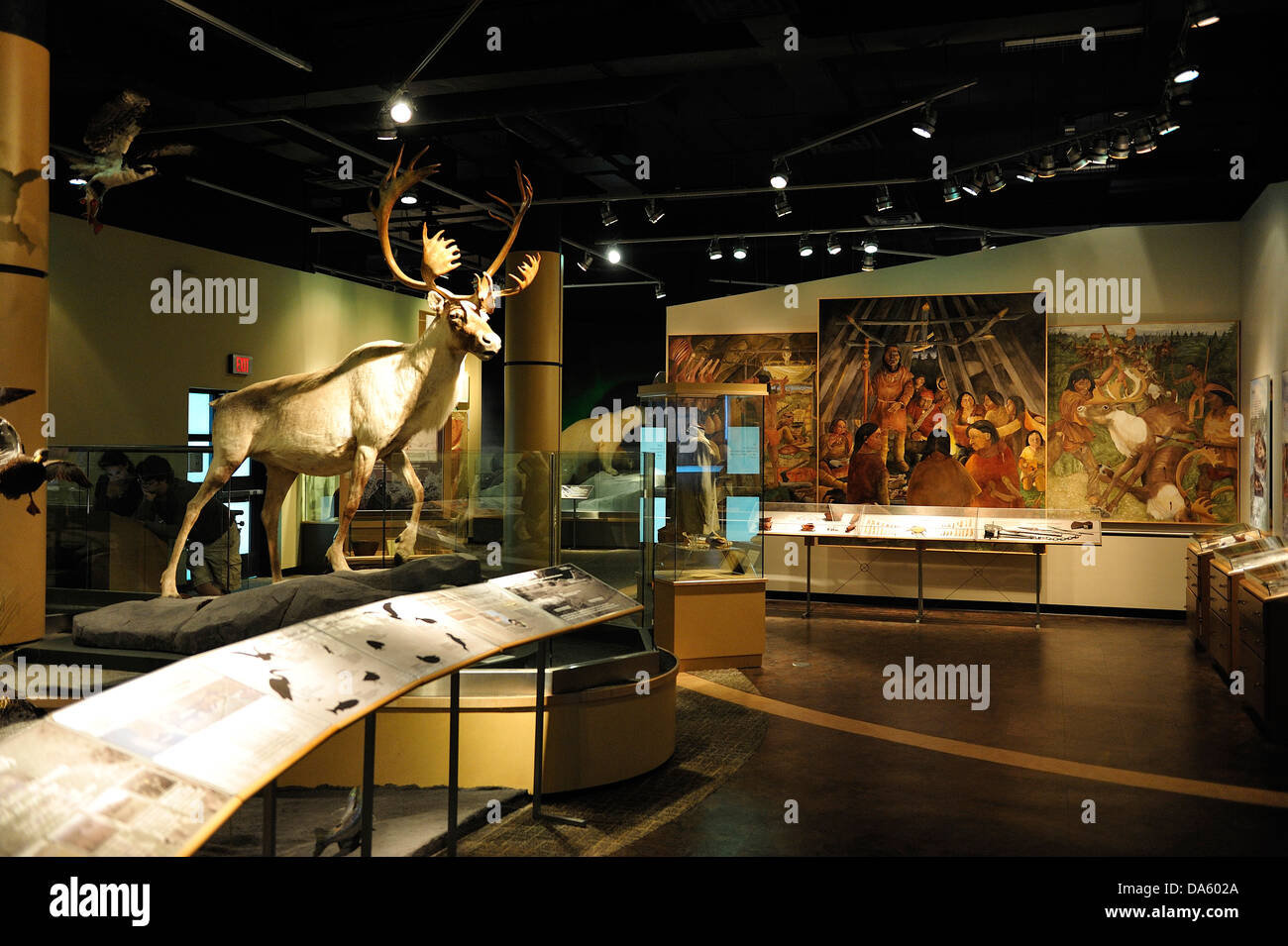 The Rooms, Museum, St. John's, Newfoundland, Canada, indians, native ...