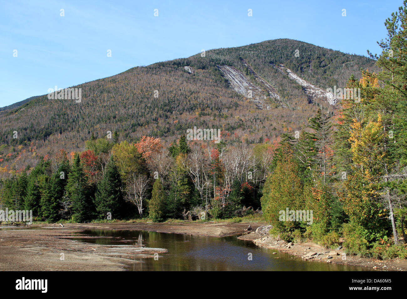 Adirondack park forest camping hi-res stock photography and images - Alamy