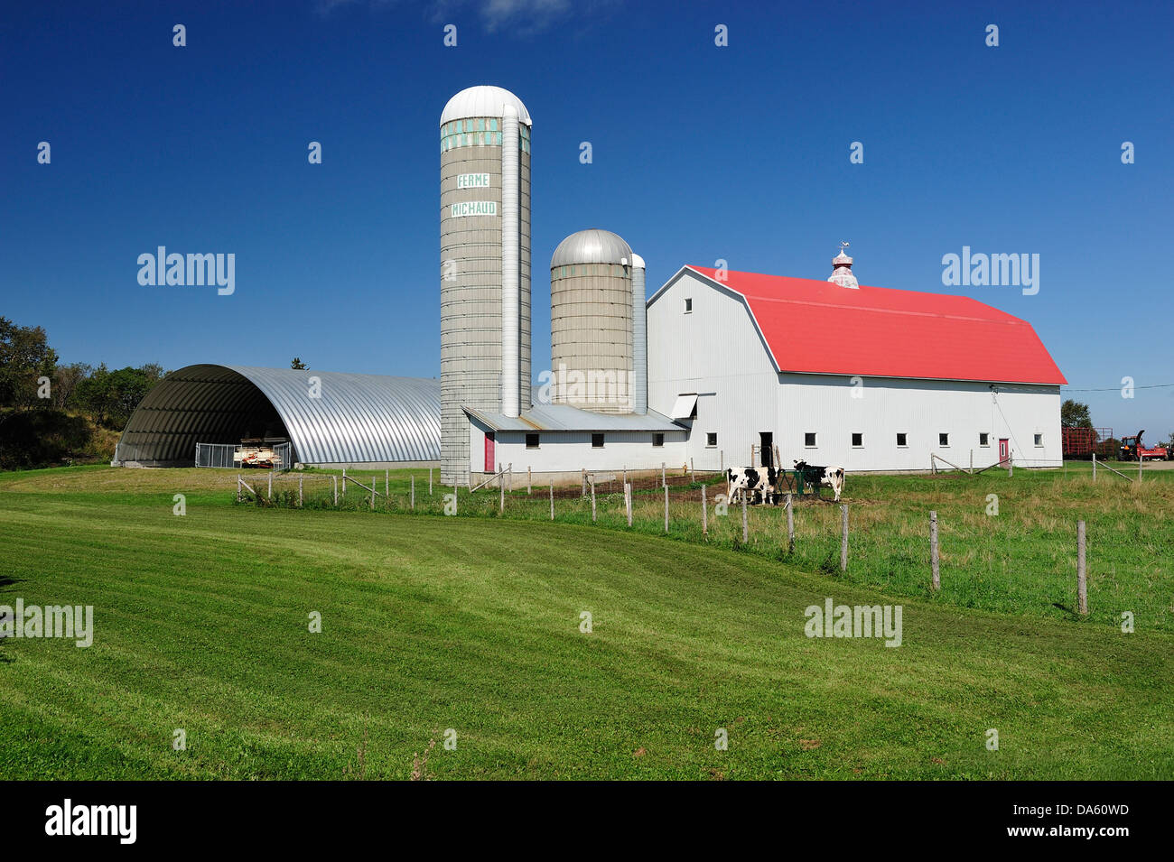 Silo and cows hi-res stock photography and images - Alamy