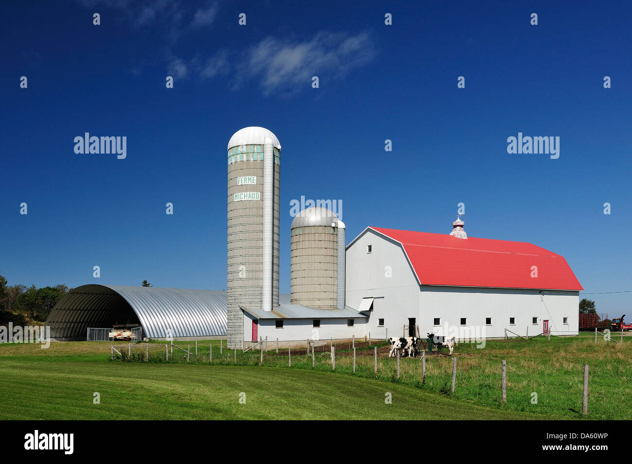 Blue, Sky, Canada, Farm, Green, Rimouski, barn, cows, dairy, field ...