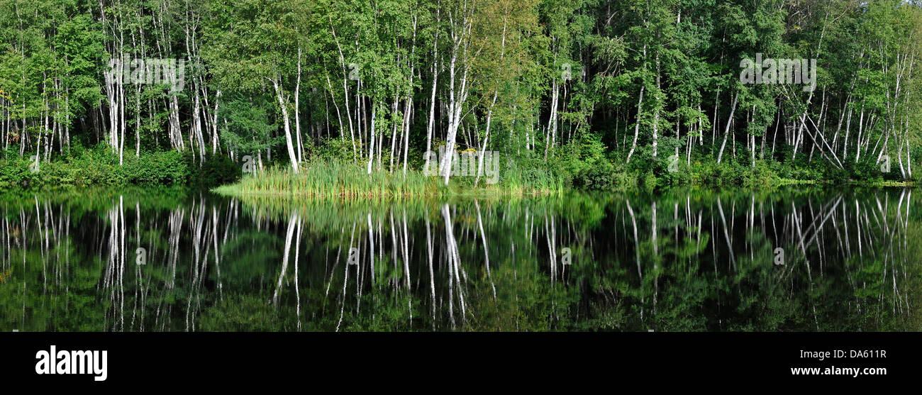 Canada, Green, Malbaie, Quebec, Trees, forest, horizontal, panorama ...