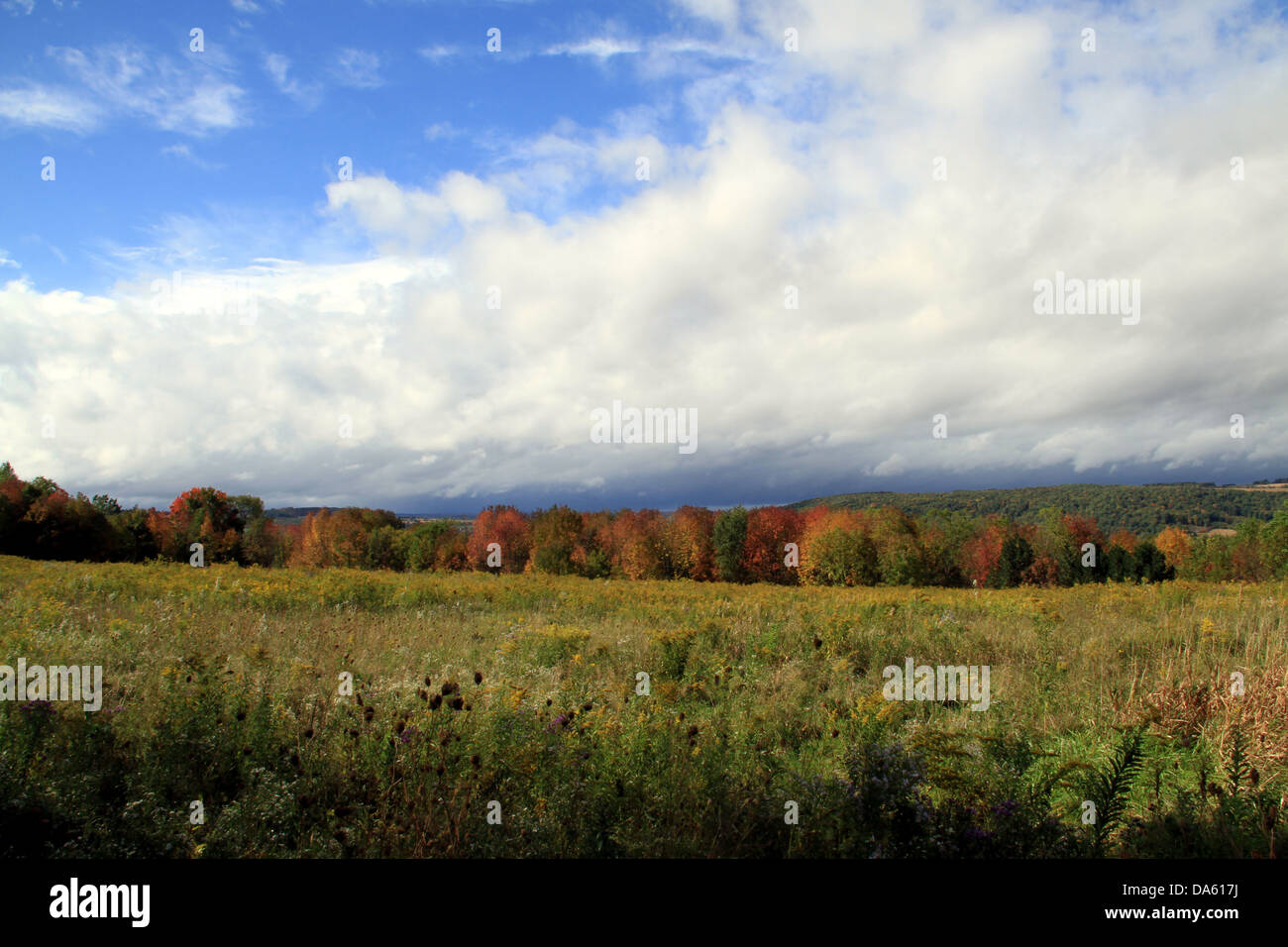 Fall field hi-res stock photography and images - Alamy