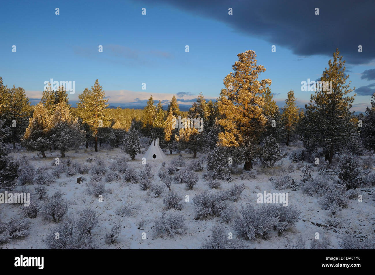 Tipi, indian, winter, snow, landscape, Mount Bachelor, Cascades ...