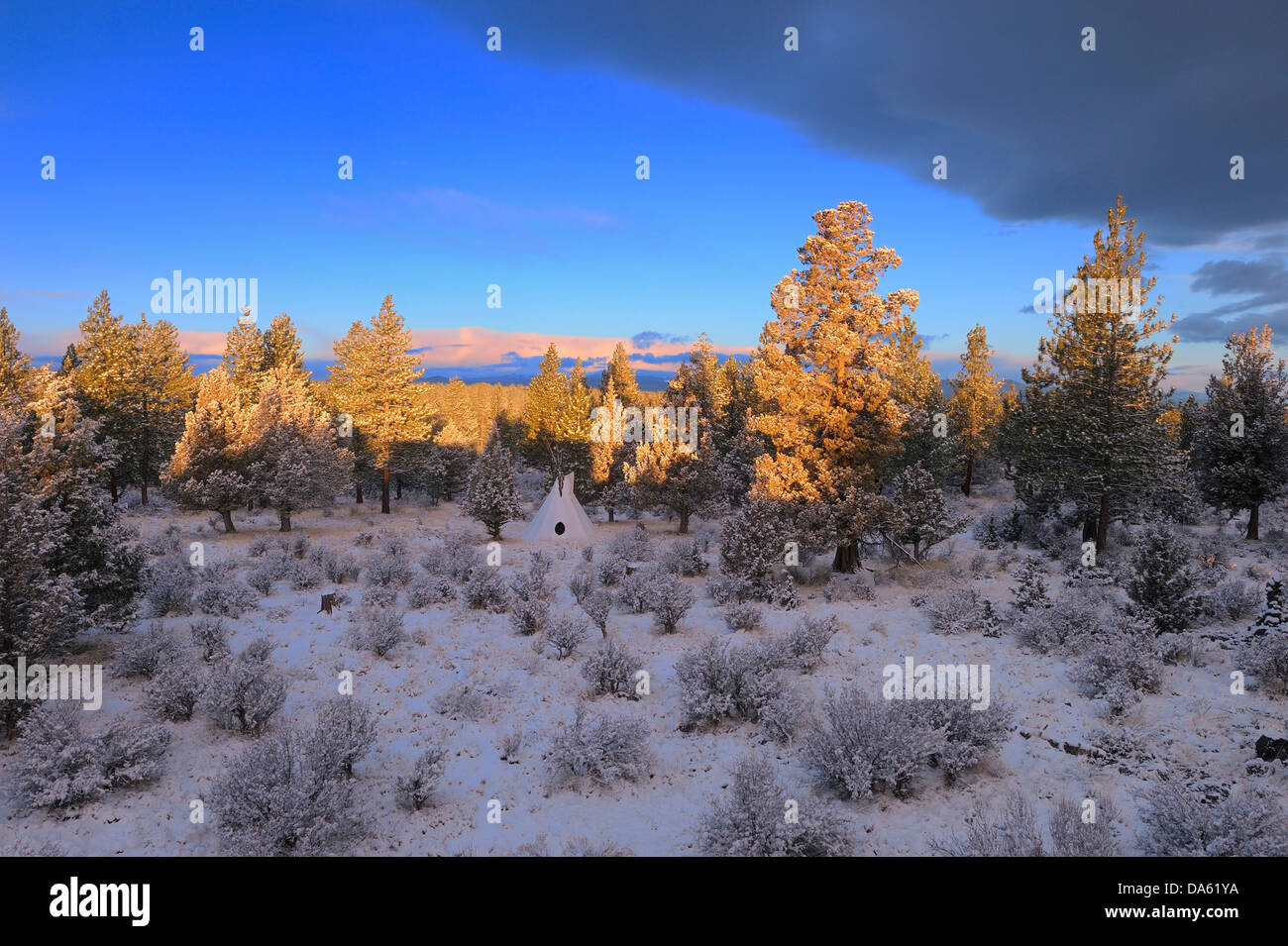 Tipi, indian, winter, snow, landscape, Mount Bachelor, Cascades ...