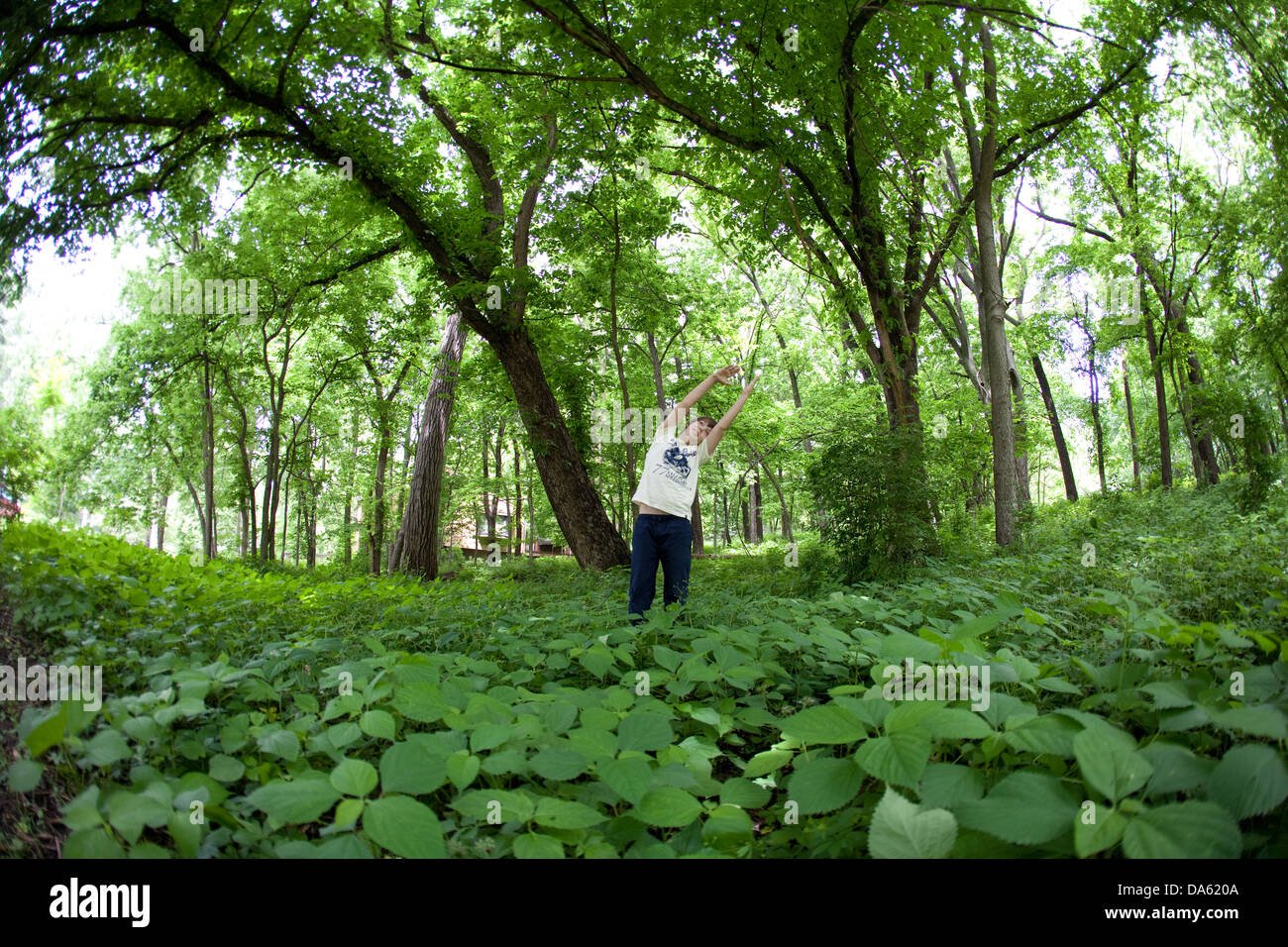 Boy pretending to be a tree, bending his body in a forest Stock Photo ...