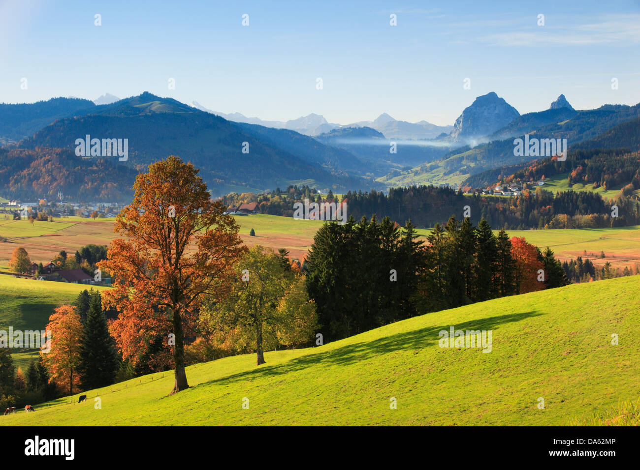View, view, Etzel, tree, mountain, mountain panorama, mountains ...