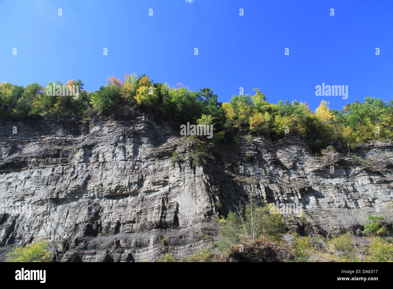 Rock cliff and trees hi-res stock photography and images - Alamy