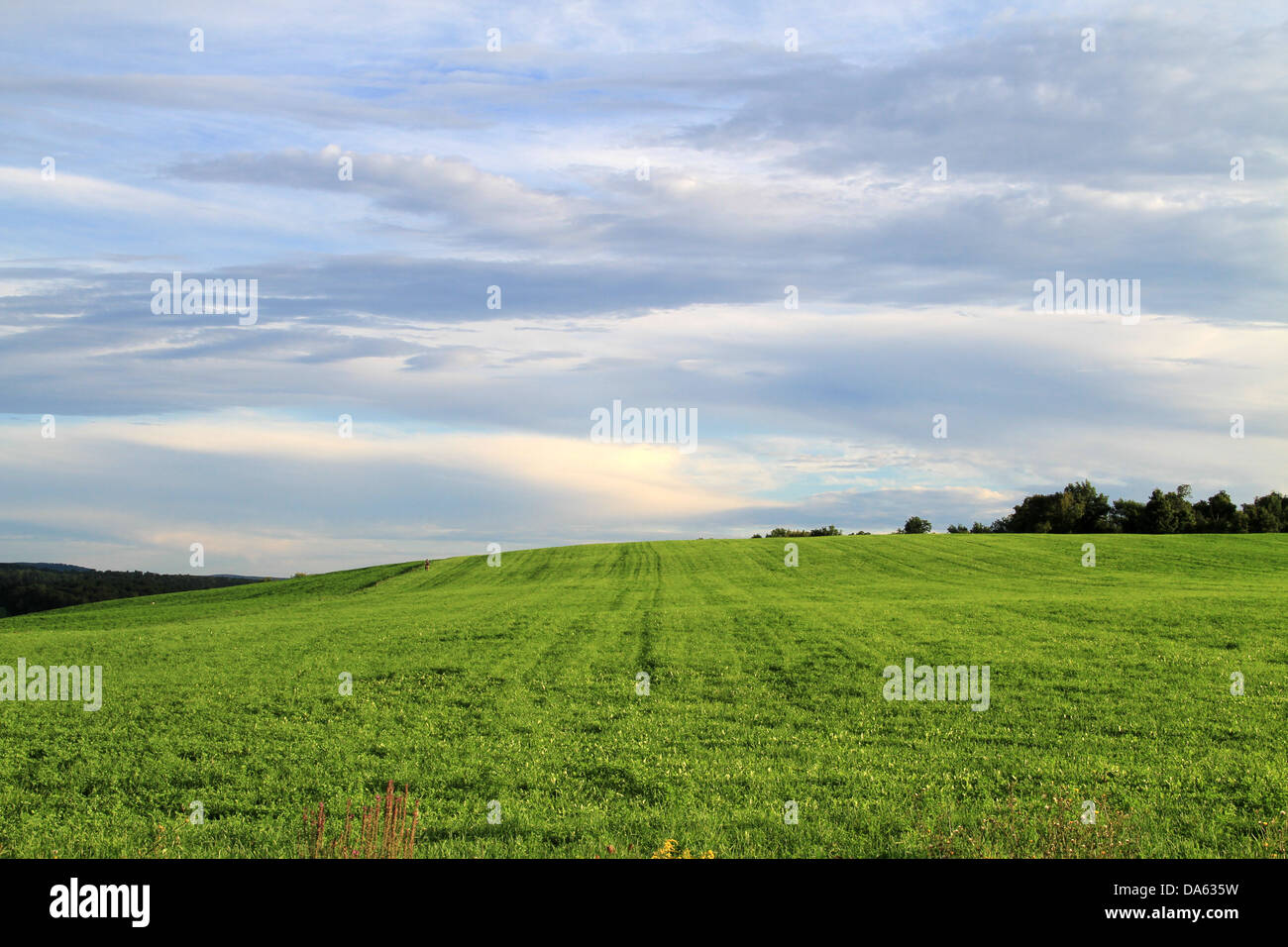 Silver hill farm hi-res stock photography and images - Alamy