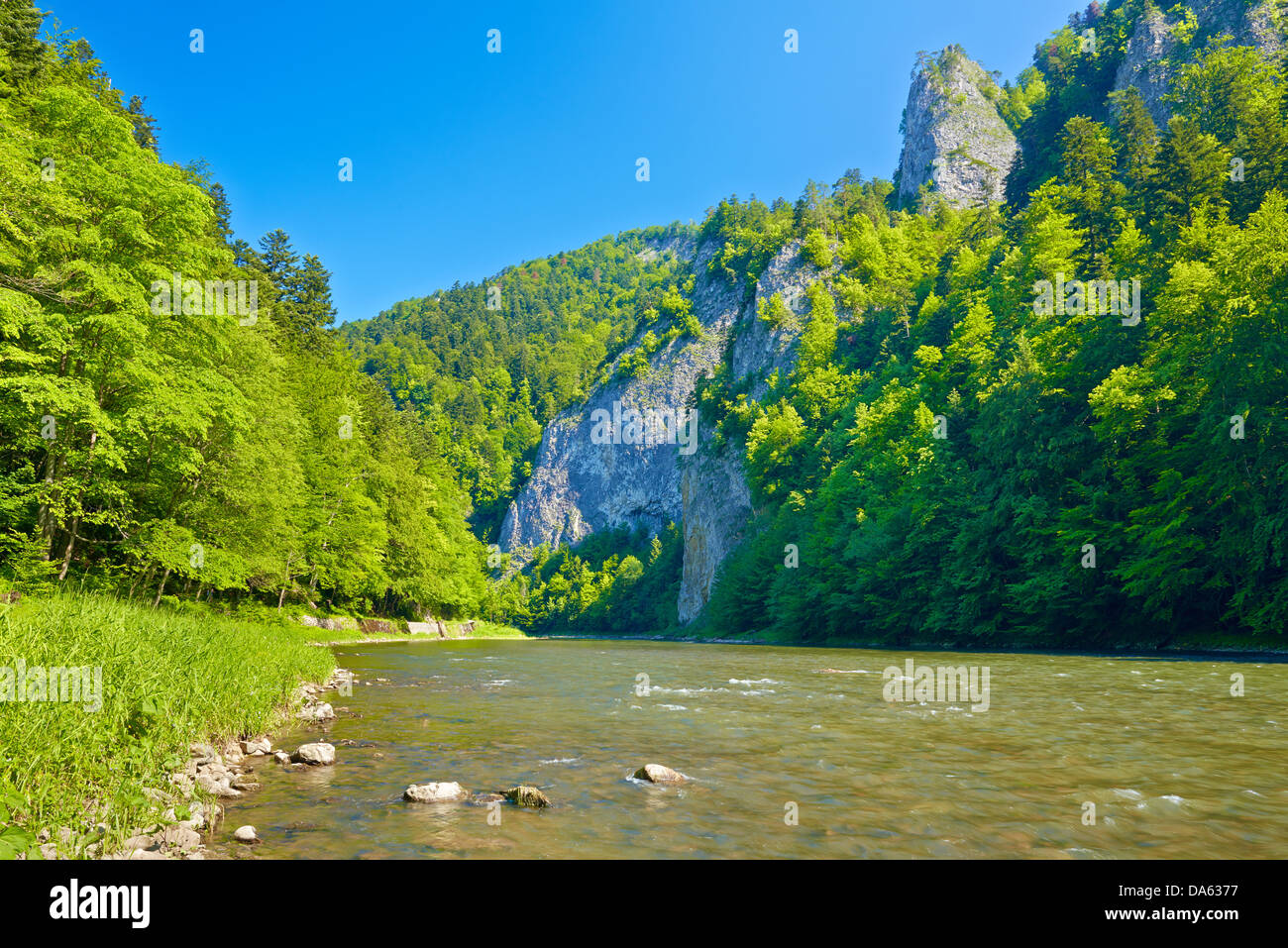 Beautiful gorge in mountains hi-res stock photography and images - Alamy
