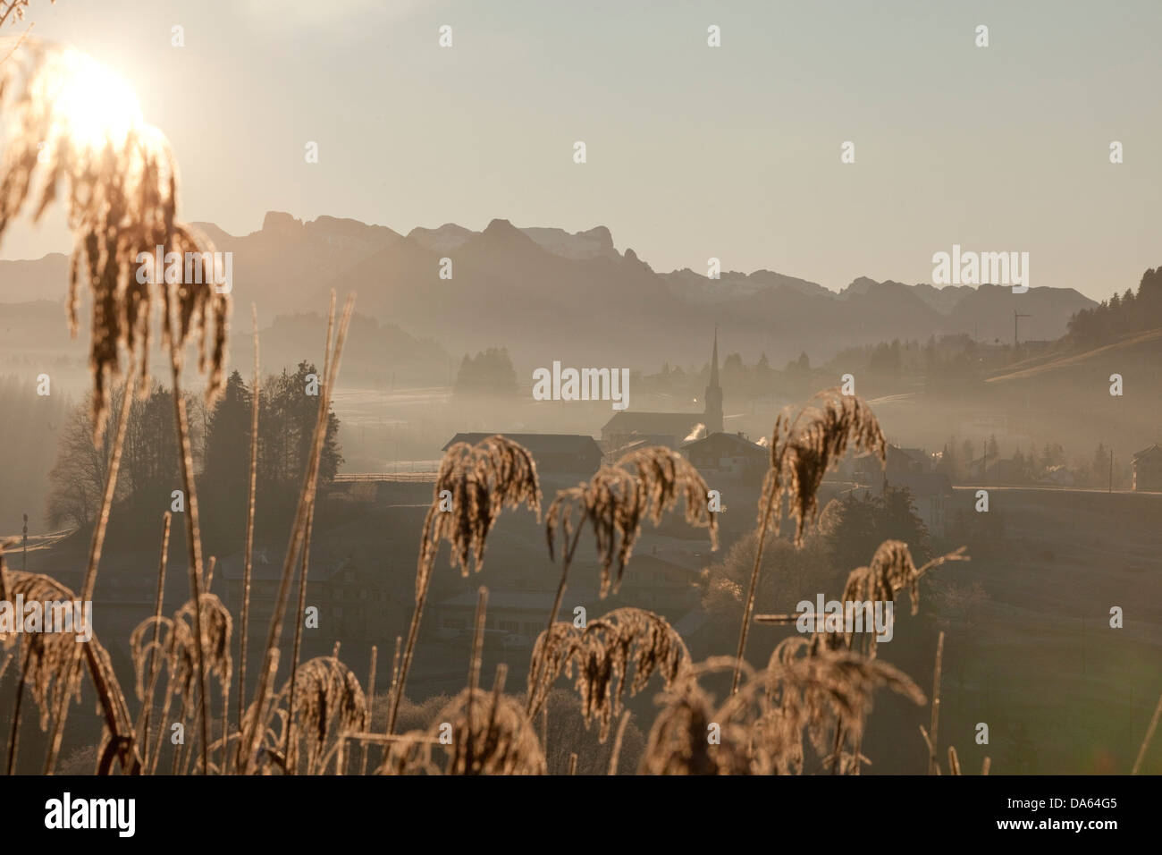 Benau hi-res stock photography and images - Alamy