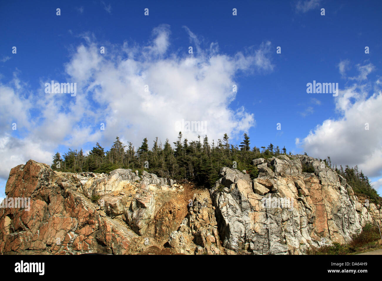 Rock trees hi-res stock photography and images - Alamy