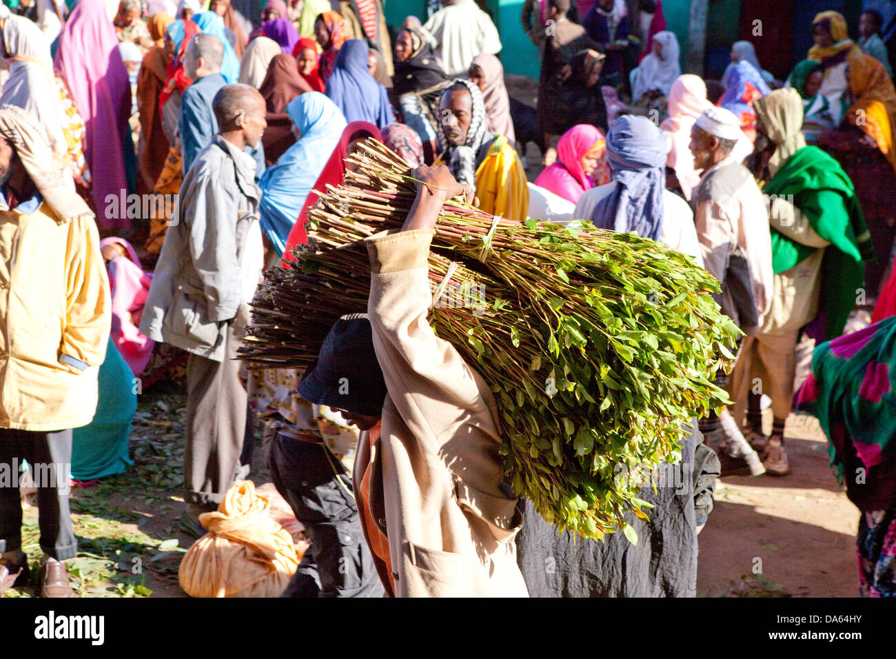 Khat ethiopia hi-res stock photography and images - Alamy
