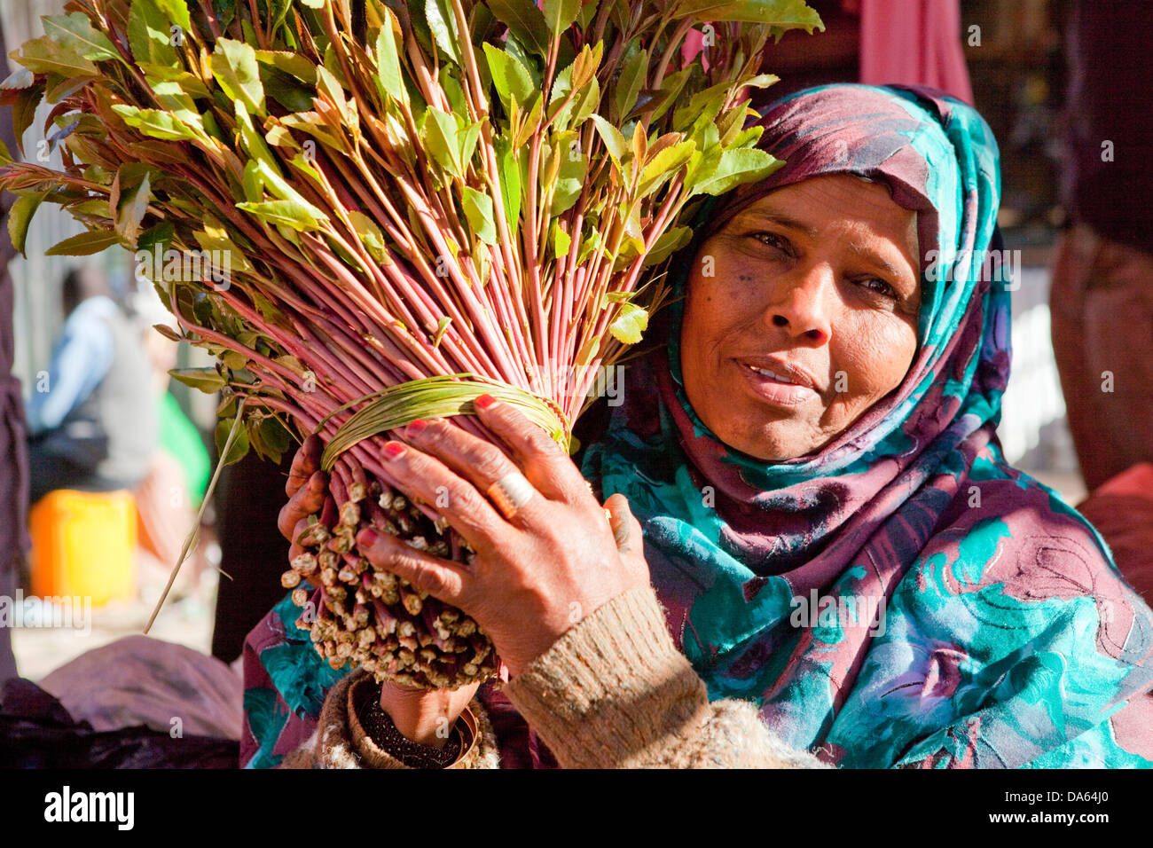 Khat ethiopia hi-res stock photography and images - Alamy