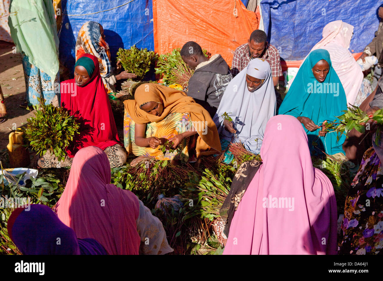 Khat ethiopia hi-res stock photography and images - Alamy