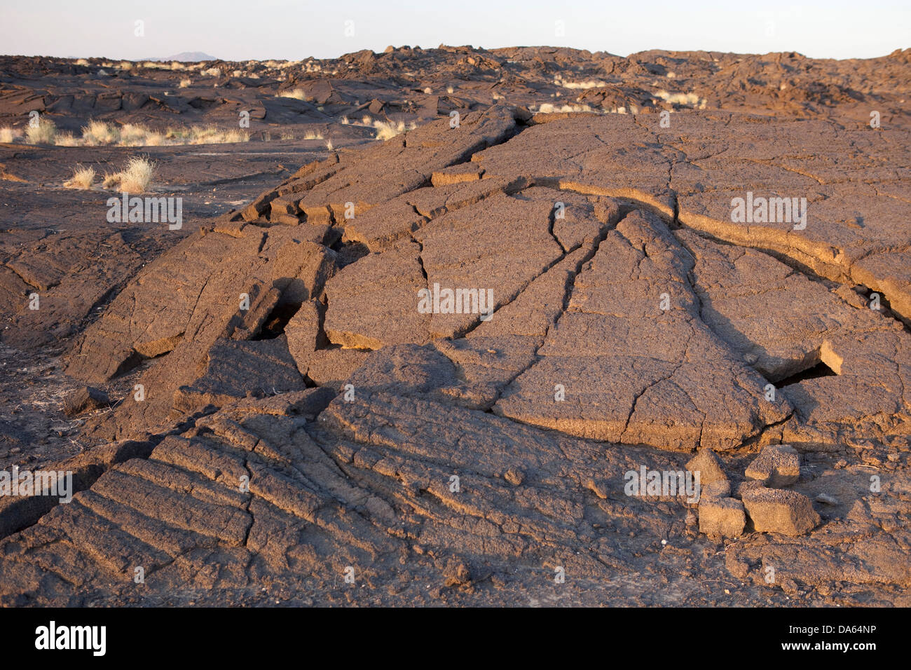 Ertale hi-res stock photography and images - Alamy