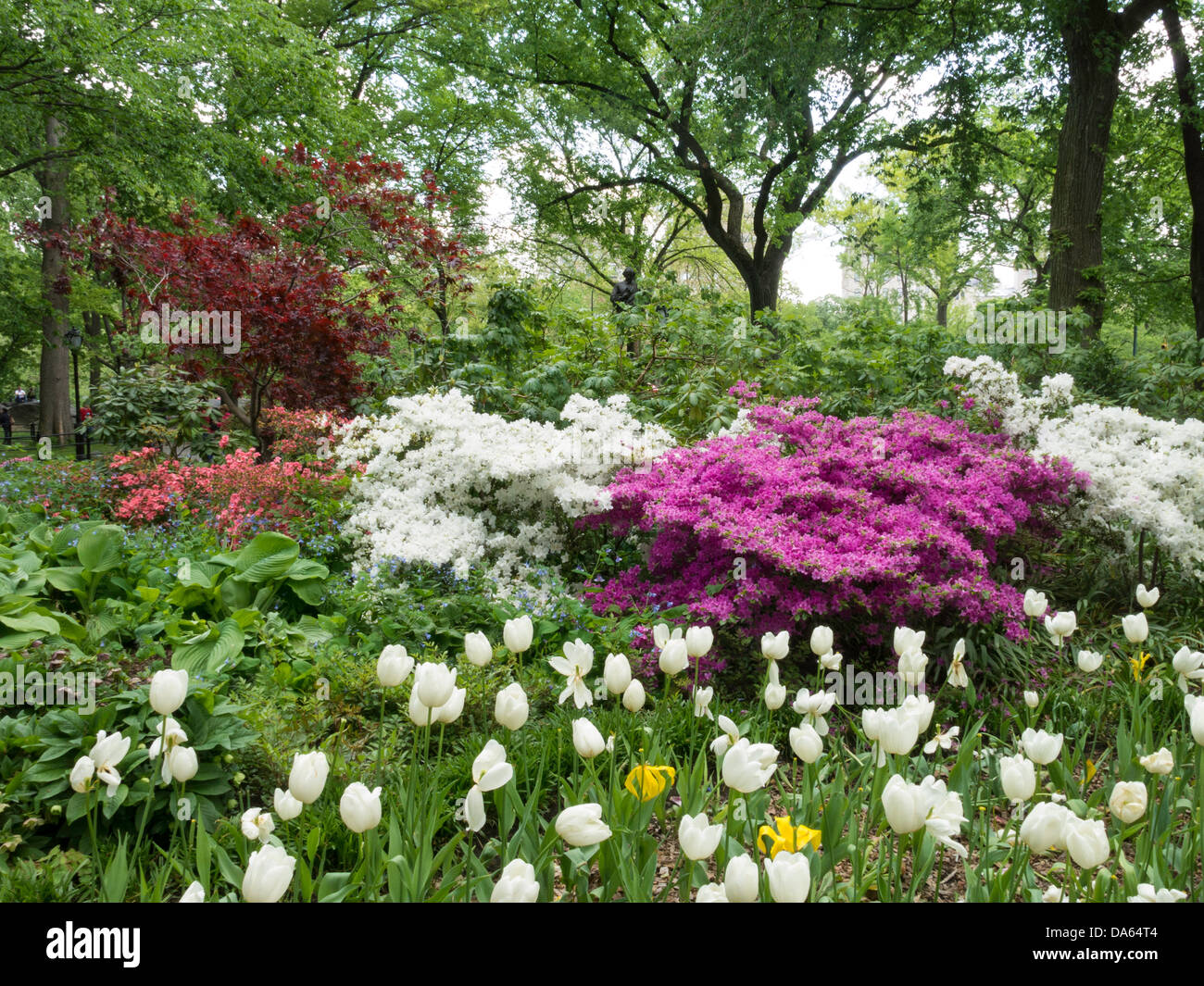Flowers in Central Park in the Springtime, NYC Stock Photo - Alamy