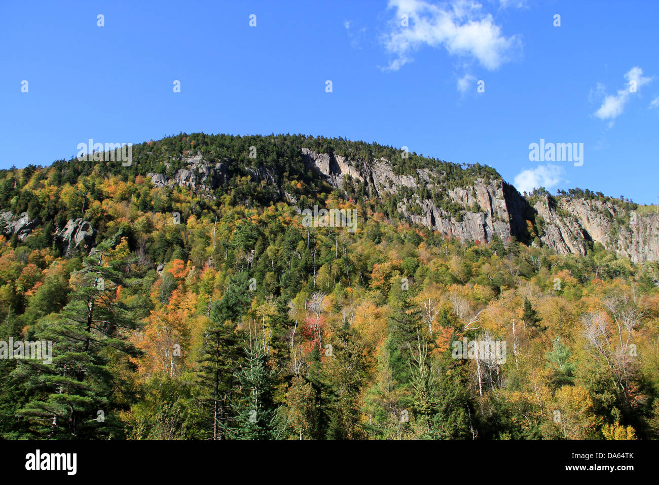 Forest cliff hi-res stock photography and images - Alamy