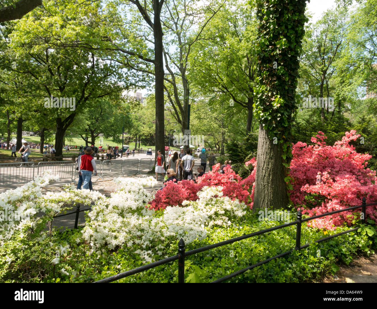 Central Park in the Springtime, NYC Stock Photo - Alamy