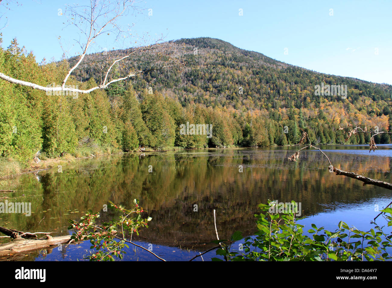 Water wilderness hi-res stock photography and images - Alamy
