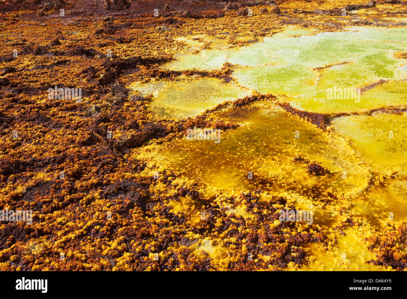 Sulphur terraces, Assale, Africa, nature, Ethiopia, sulphur, sulfur ...